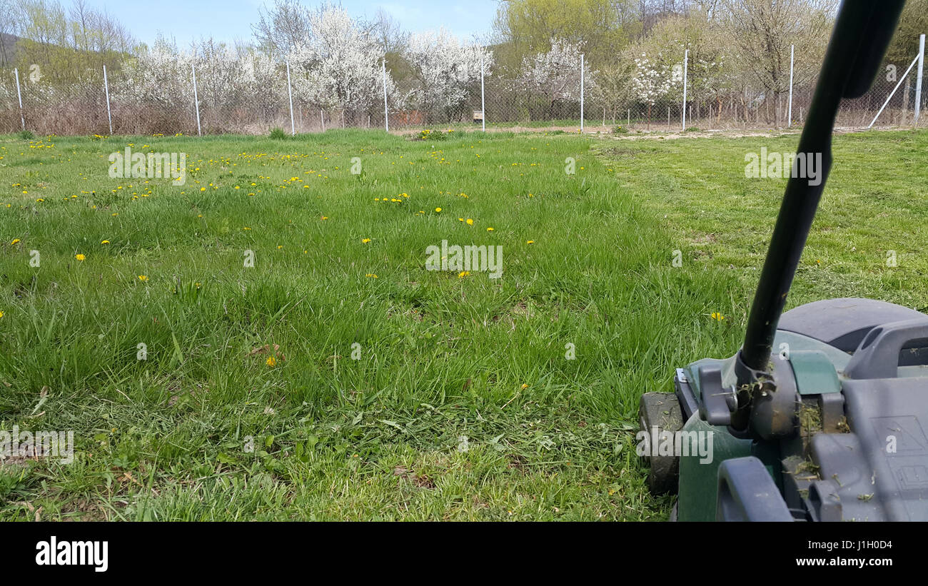 Grass cutting machine hi-res stock photography and images - Alamy