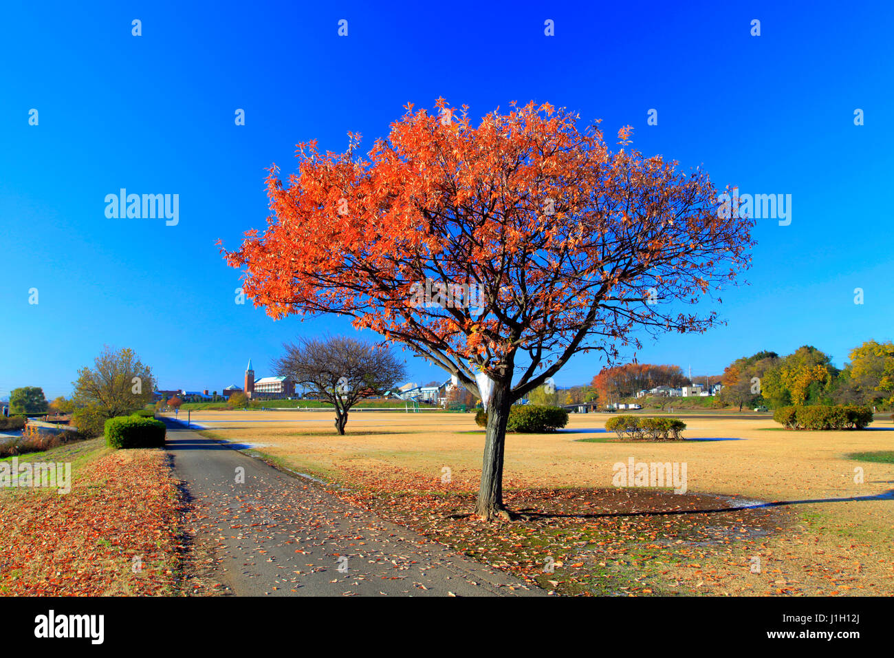 Aina shinsui koen hi-res stock photography and images - Alamy