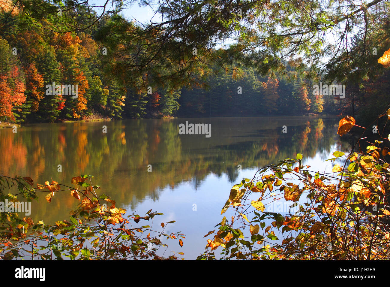 Lake Watoga In Autumn Stock Photo - Alamy