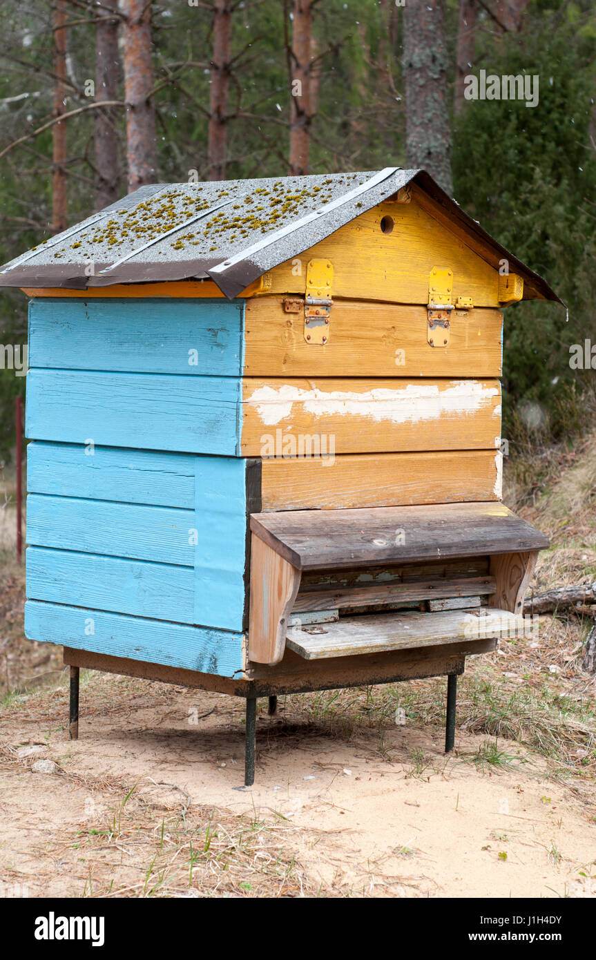 Honey bee hives in winter. Beekeeping Stock Photo - Alamy