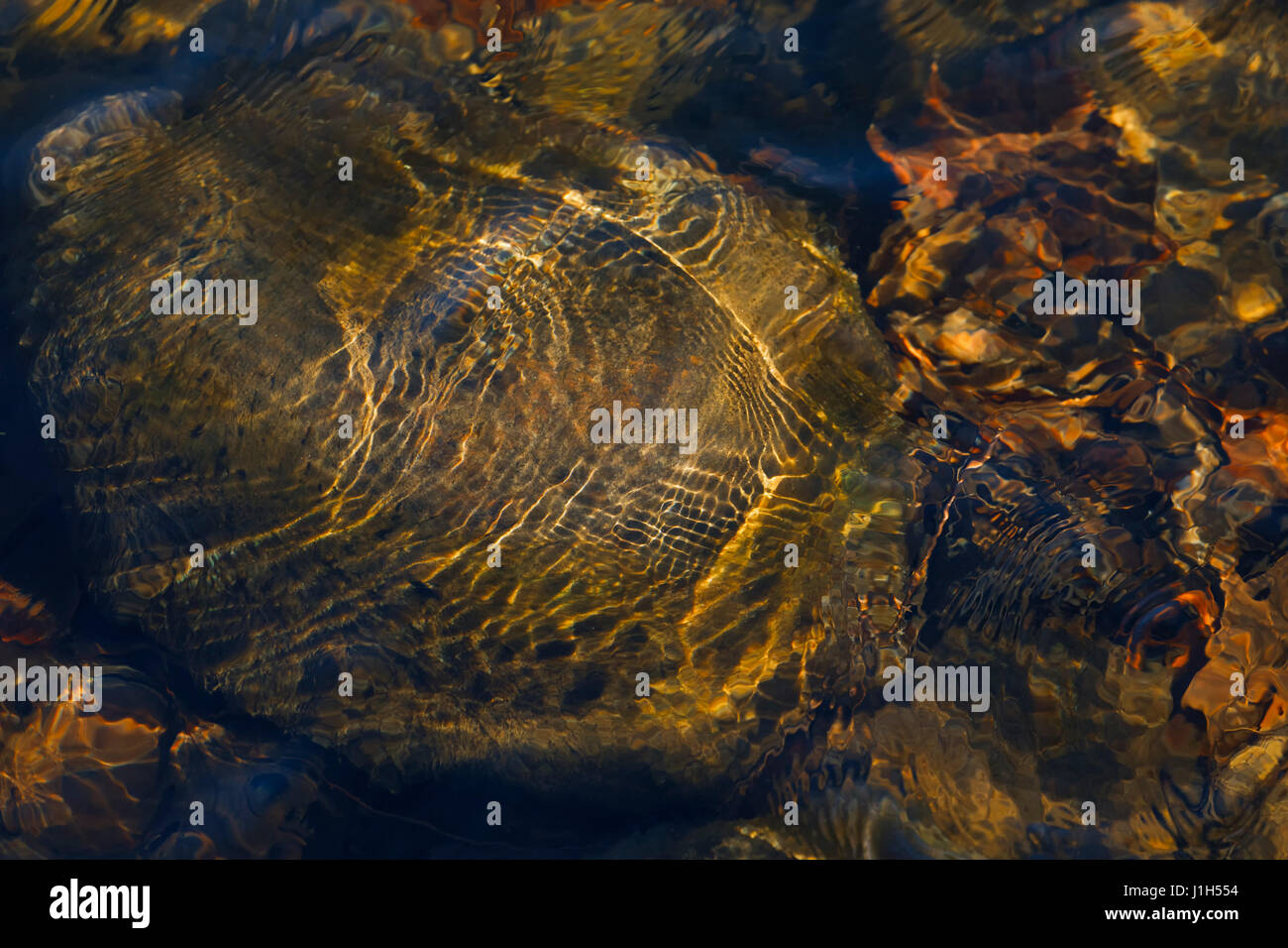Pristine water flow of the rocky mountain creek Stock Photo - Alamy