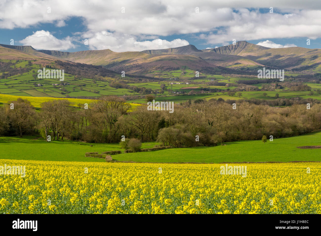 Brecon Beacons,Wales. Bannau Brycheiniog National Park with Pen-y-Fan ...