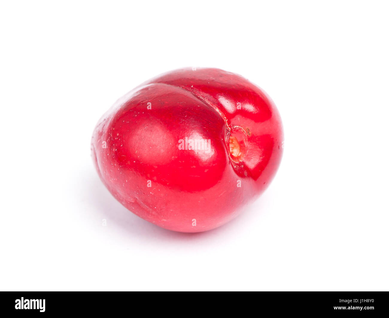 Cherry isolated on white background Stock Photo - Alamy
