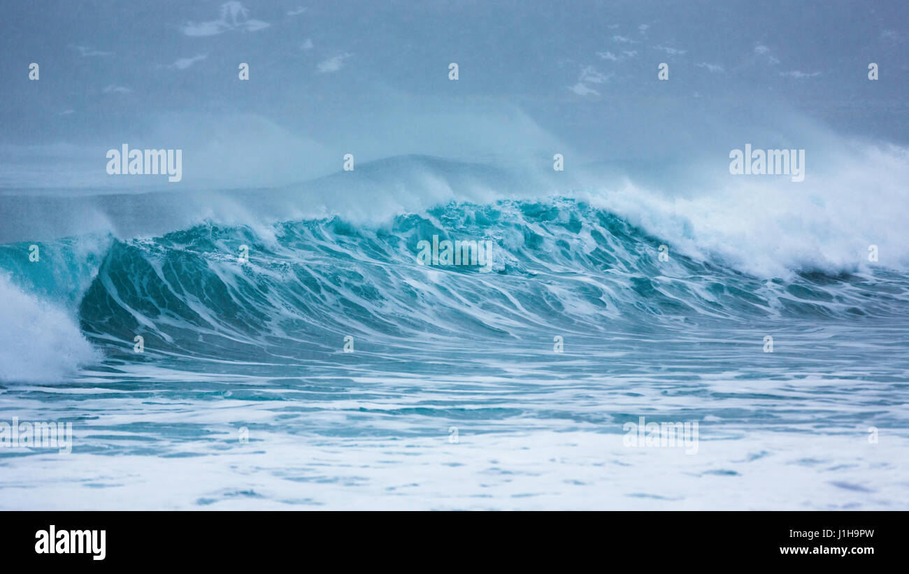 The great tide on the cold north sea during the snowstorm Stock Photo ...