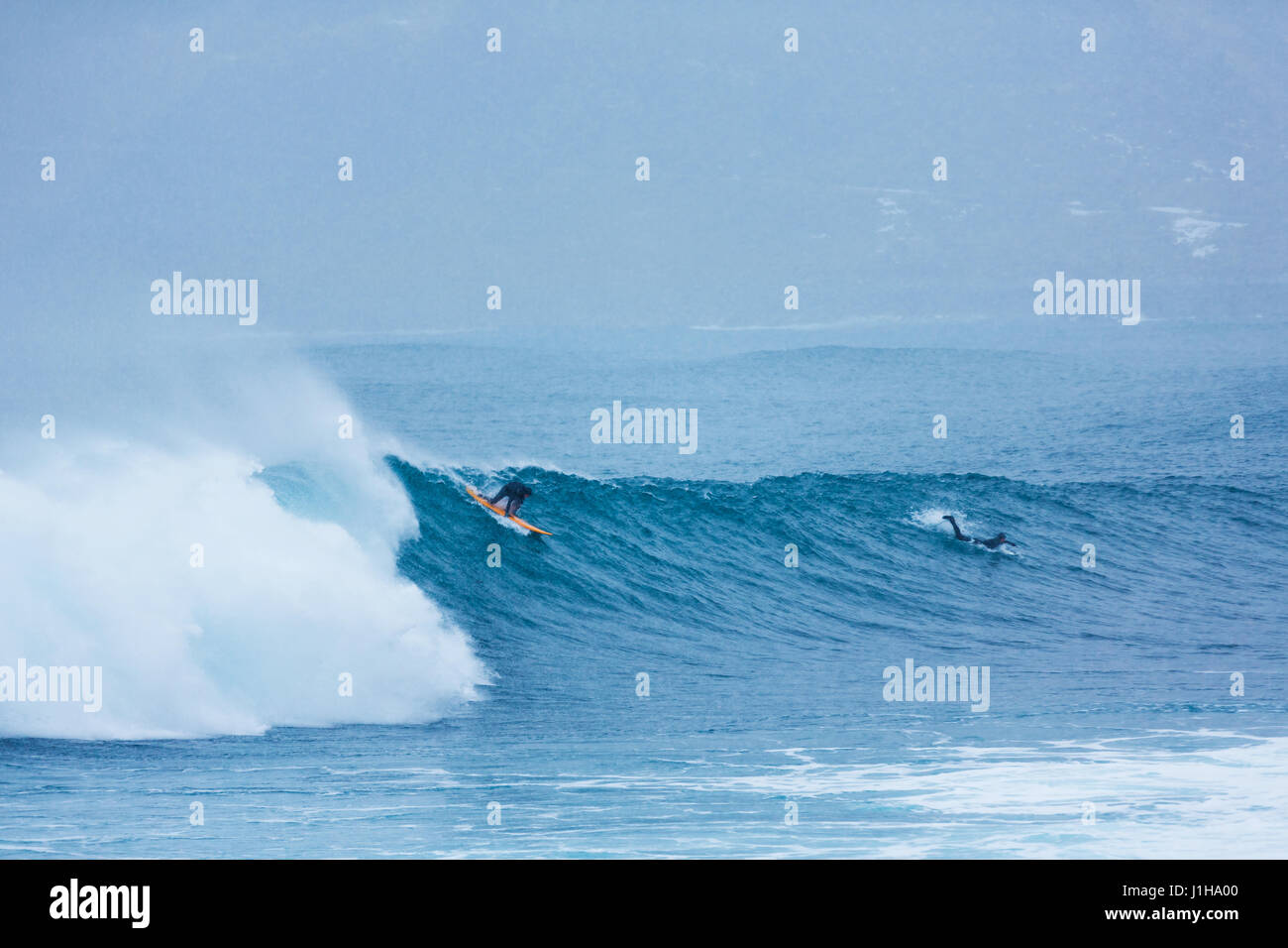 Surfers are training in a cold water of the north sea during the ...