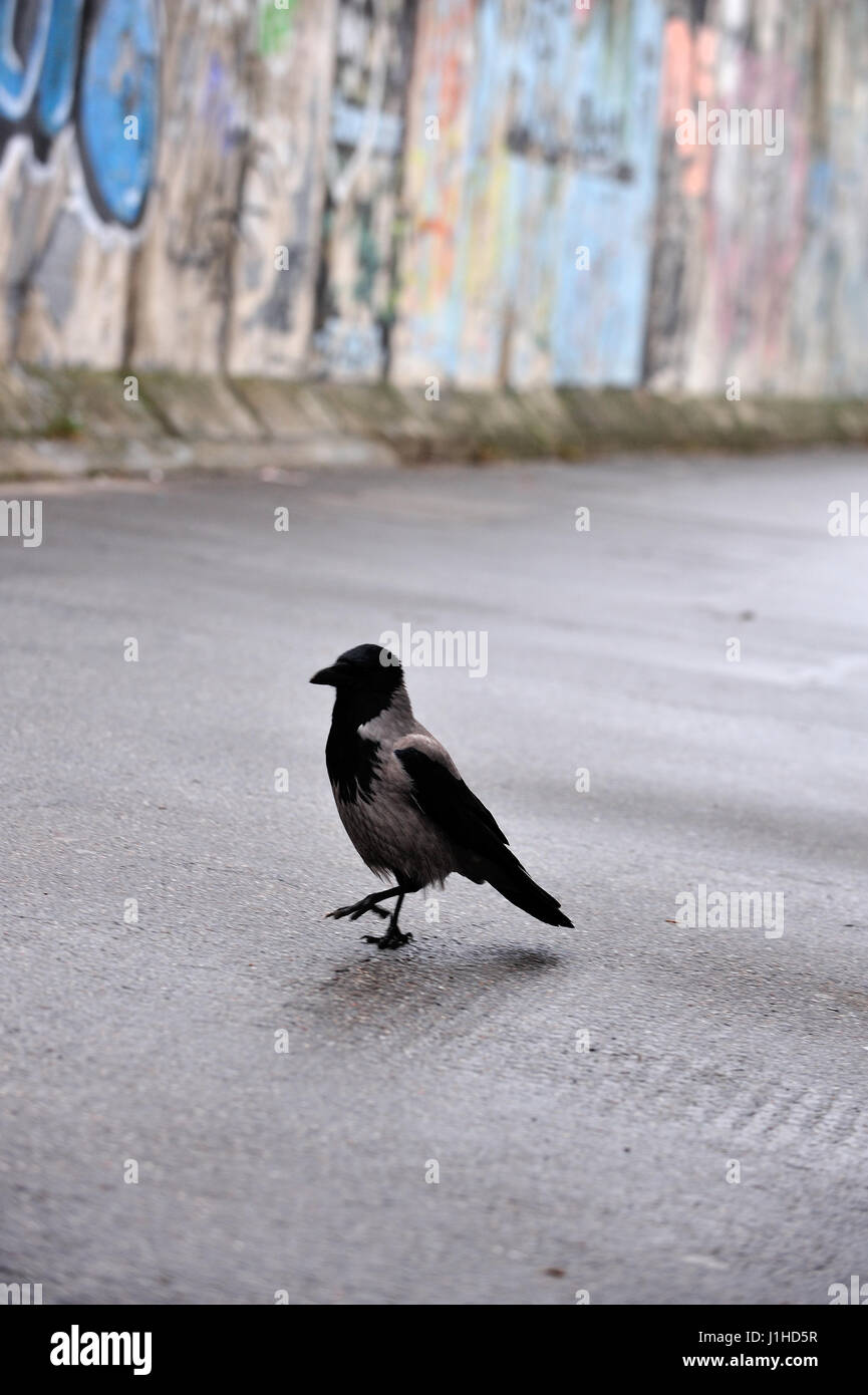 Berlin, Berlin wall, cold war, east berlin, east side area stasi ...