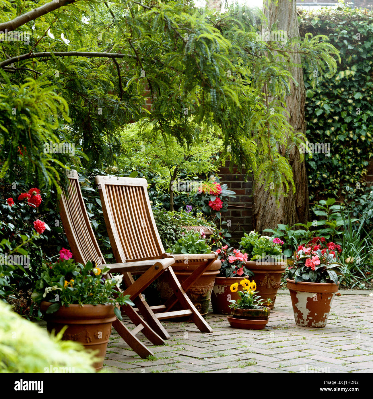 Deck chairs on patio Stock Photo - Alamy