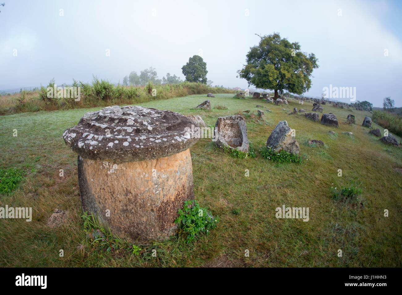 the plain of jars sit1 in the morning near the town of Phonsavan in the ...