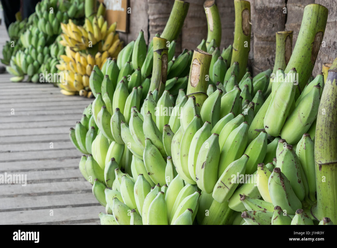 bananas harvesting from farm to market in close up Stock Photo - Alamy