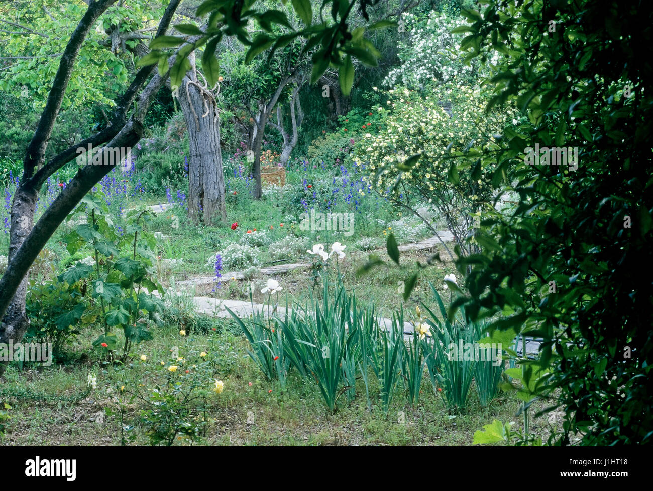 Growing paths hi-res stock photography and images - Alamy