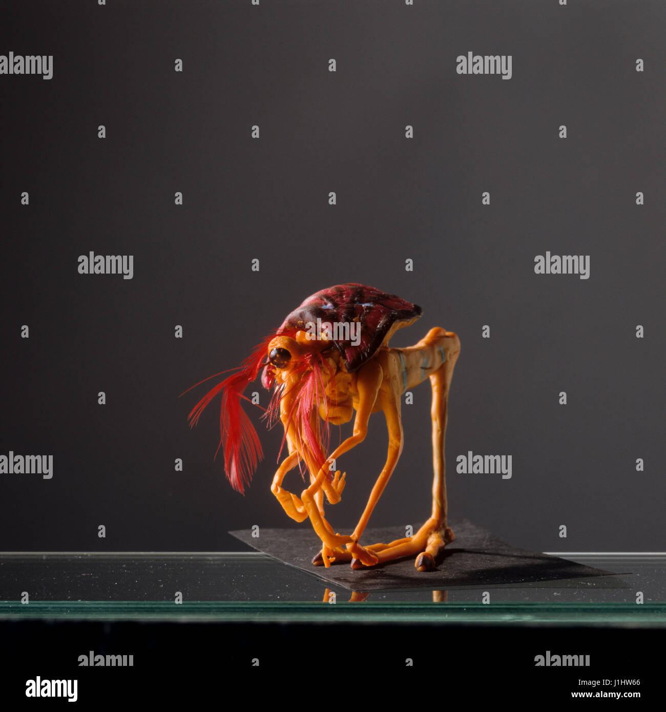 Mutant hi-res stock photography and images - Alamy