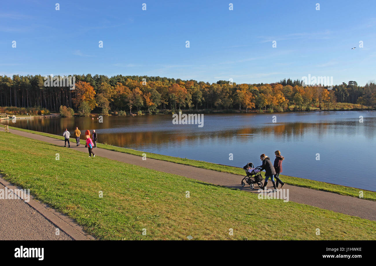 Autumn colours at Tilgate Forest, Park and Lake, nr Crawley, West ...