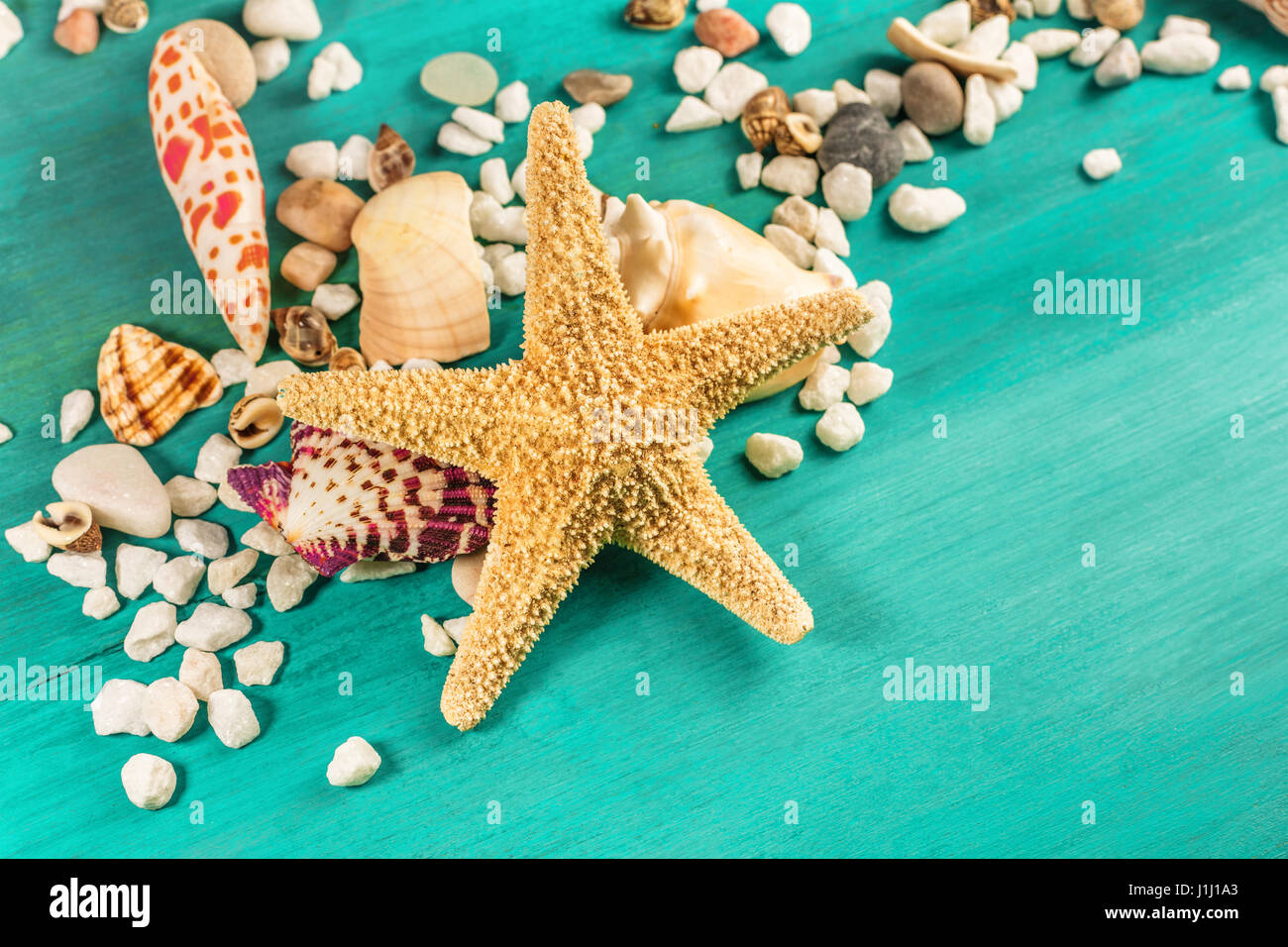 Starfish, shells, and pebbles on vibrant turquoise background Stock ...