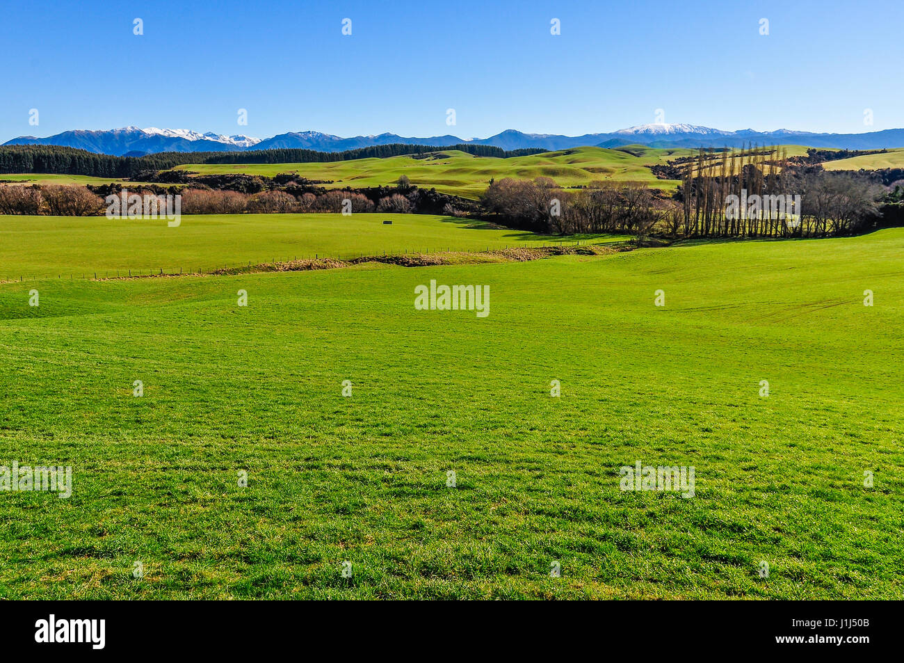 Typical nature in new zealand hi-res stock photography and images - Alamy