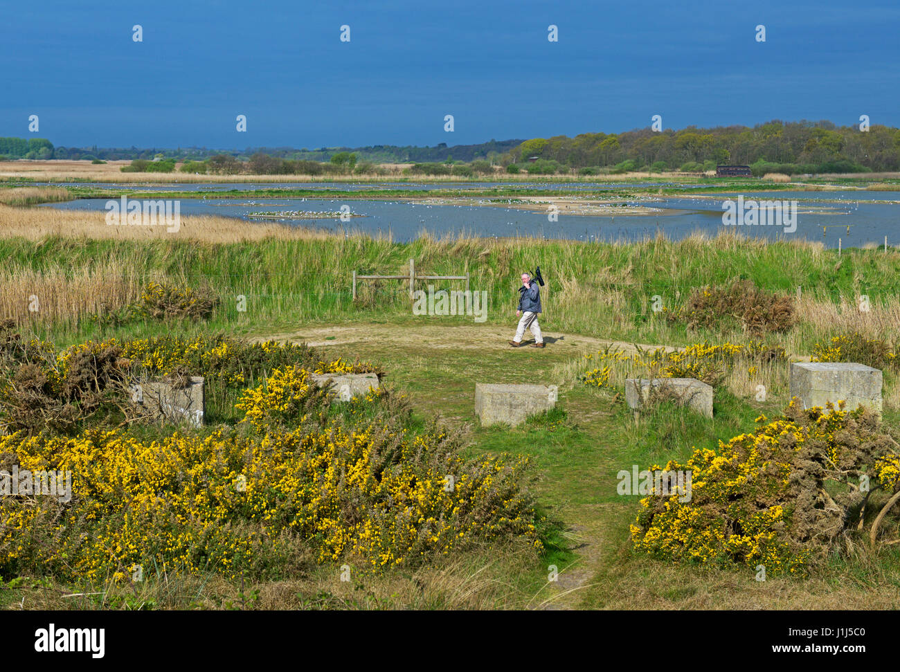 Wetlands reserve nature hi-res stock photography and images - Alamy