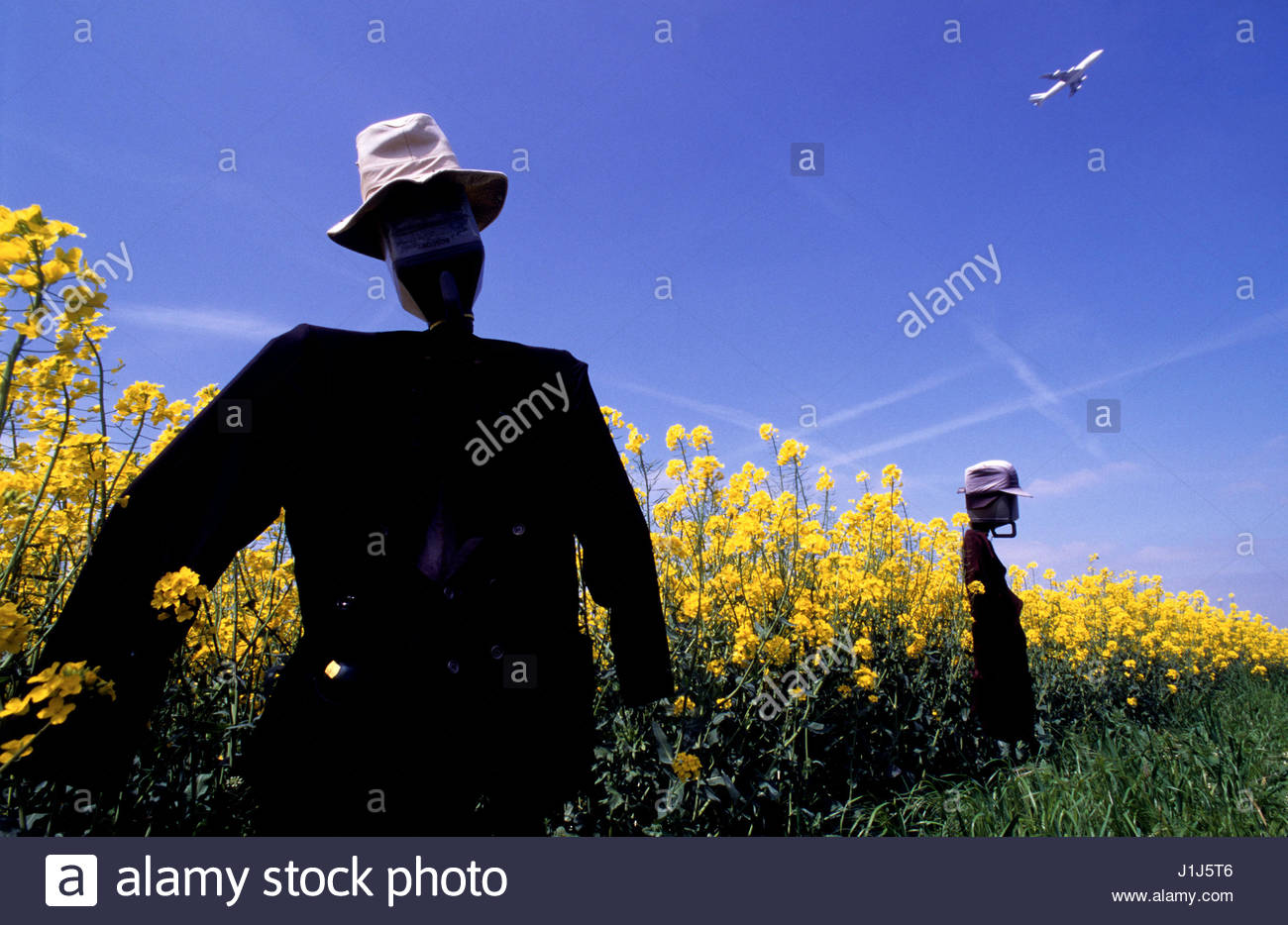 Epouvantail Stock Photos & Epouvantail Stock Images - Alamy