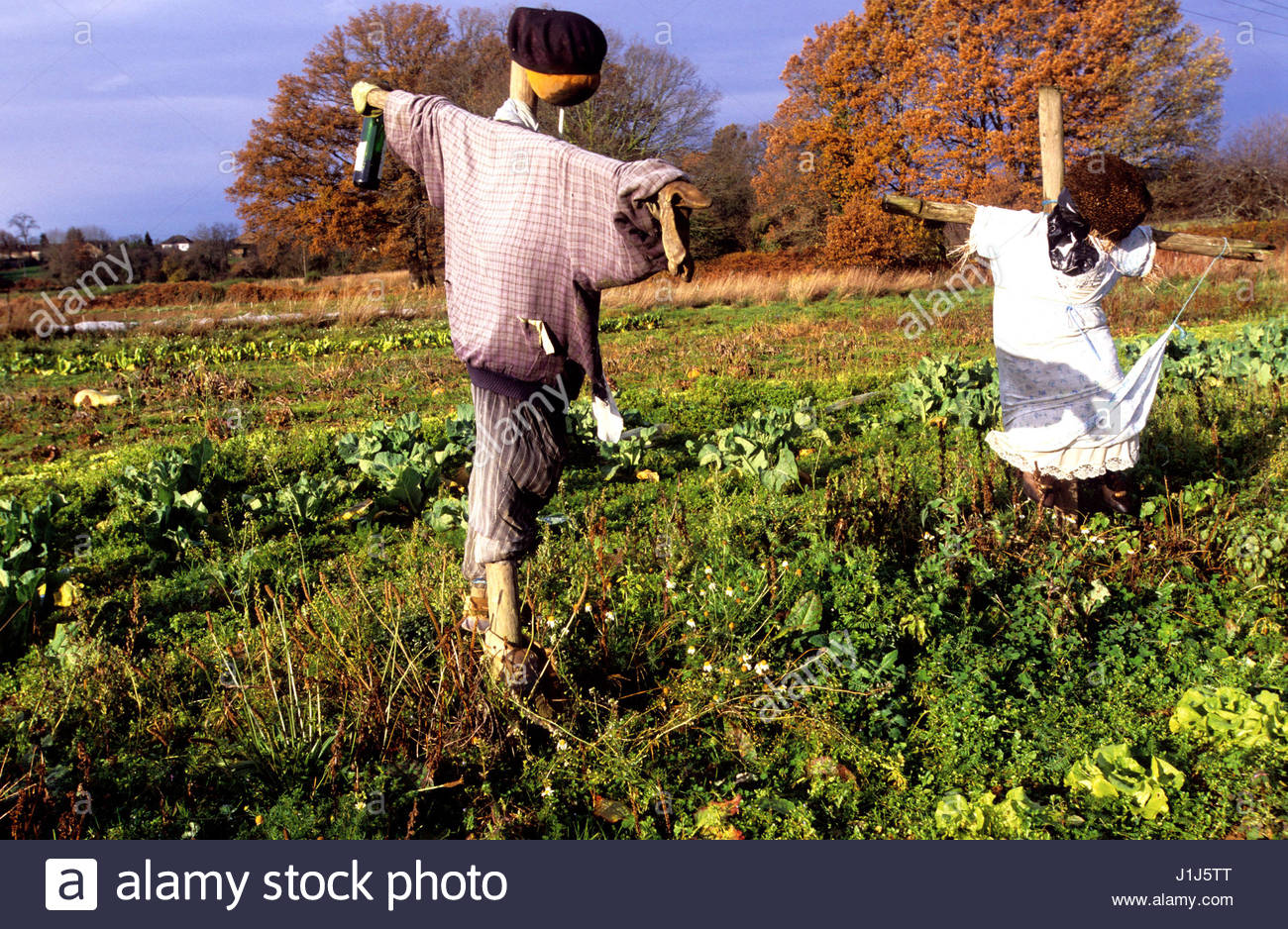 Epouvantail Stock Photos & Epouvantail Stock Images - Alamy