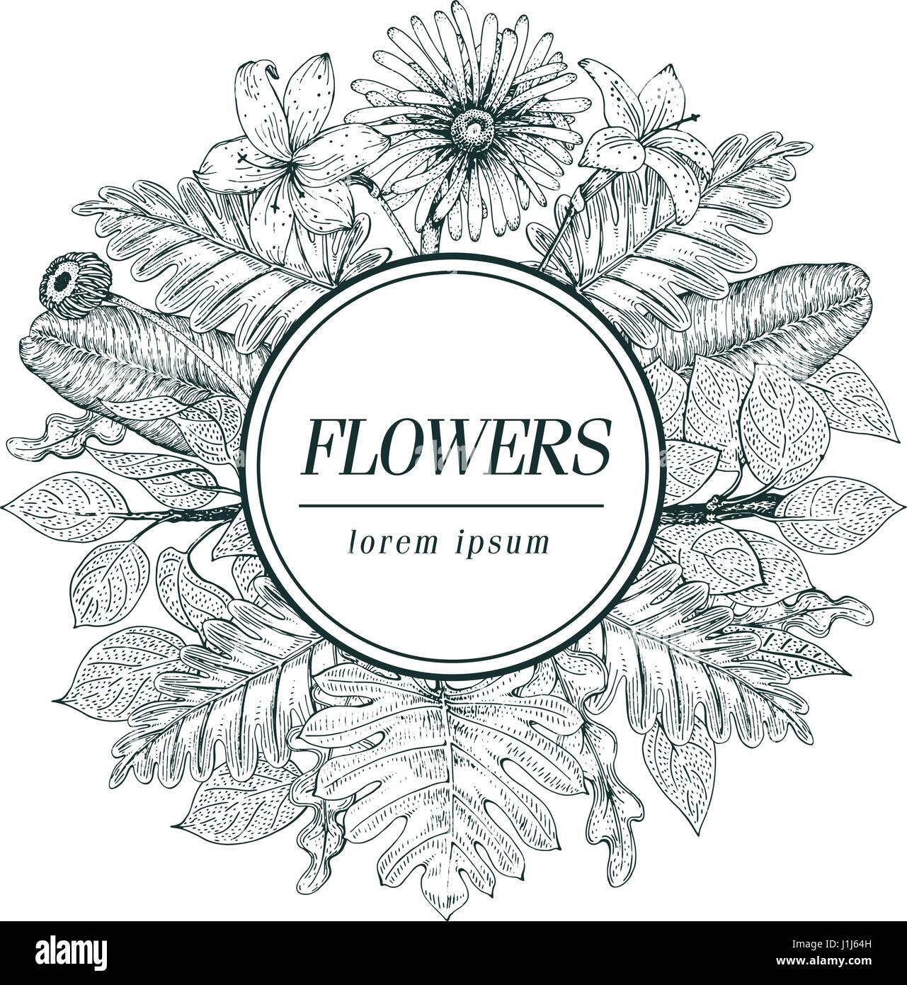 Botany vintage design template. Botanical frame. Vector illustration ...