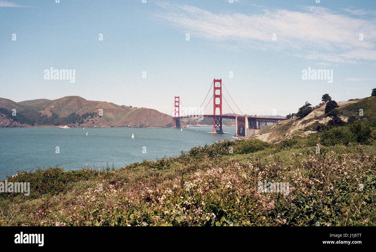 Golden gate bridge flowers san hi-res stock photography and images - Alamy