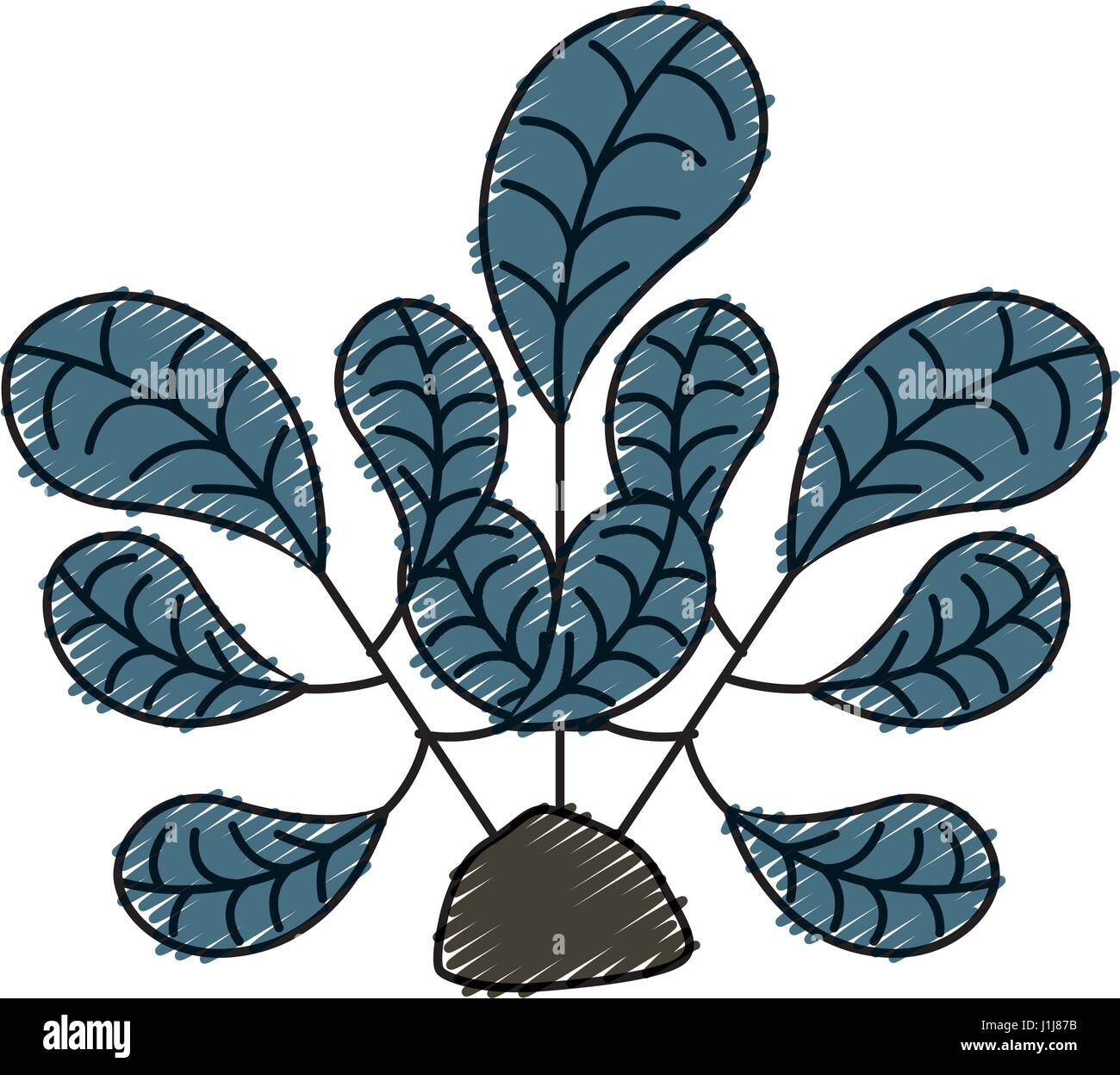 leafs plant decorative icon Stock Vector Image & Art - Alamy