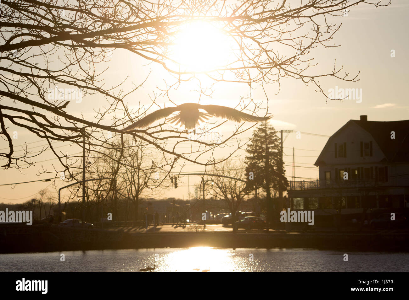 Abstract Nature and Landscapes Stock Photo - Alamy