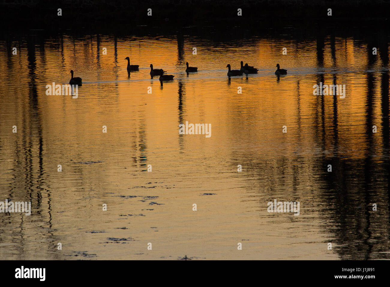 Abstract Nature and Landscapes Stock Photo - Alamy