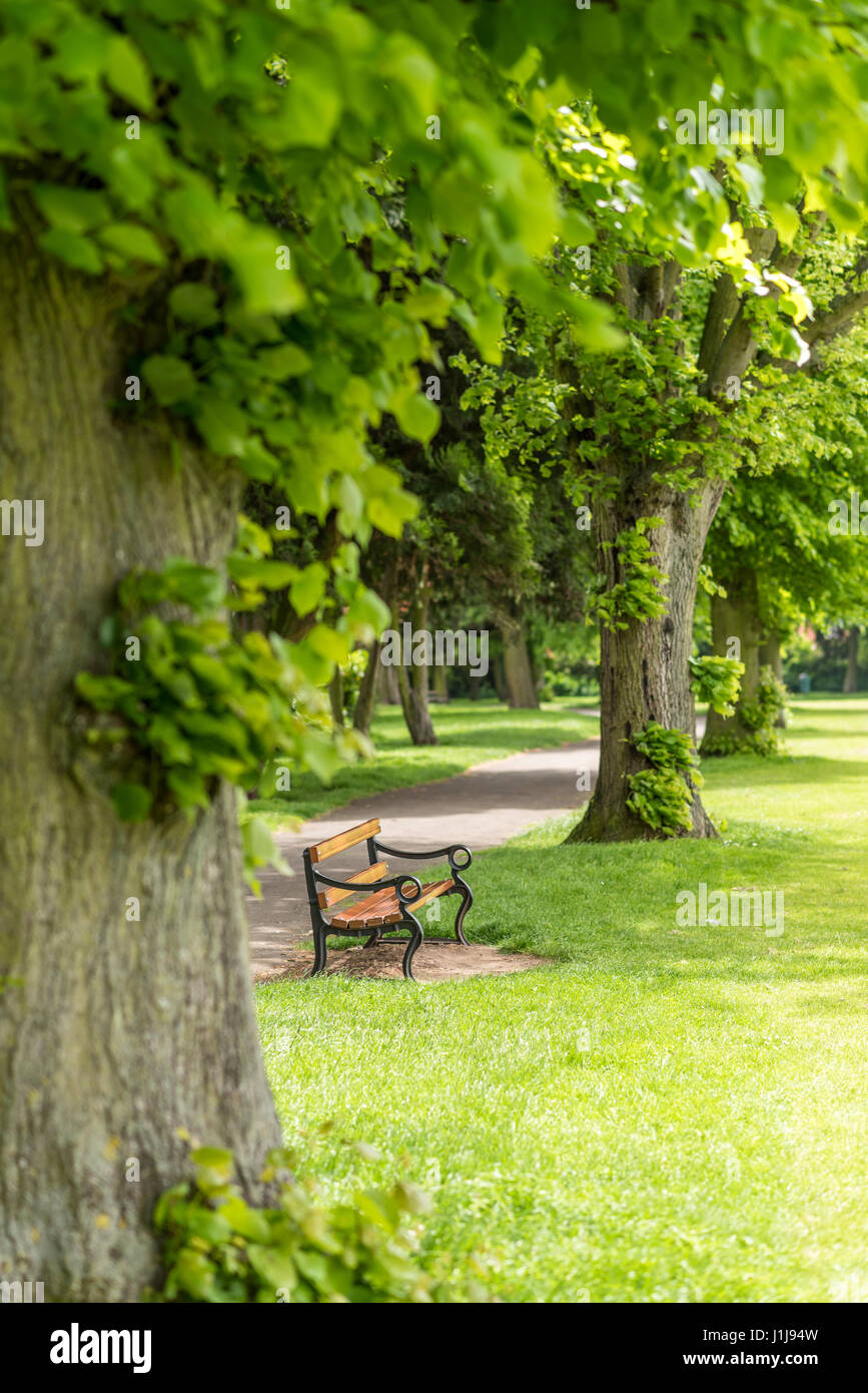 Stylish lonely empty bench in summer park Stock Photo - Alamy