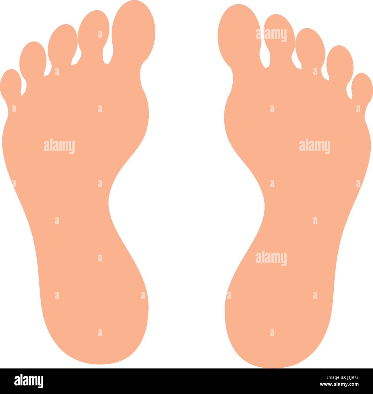 human foot plant icon Stock Vector Image & Art - Alamy