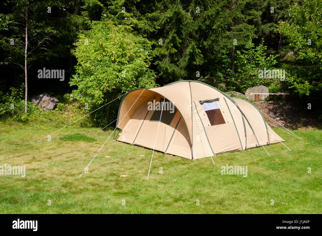 Tent on a grass campsite in a forest Stock Photo - Alamy