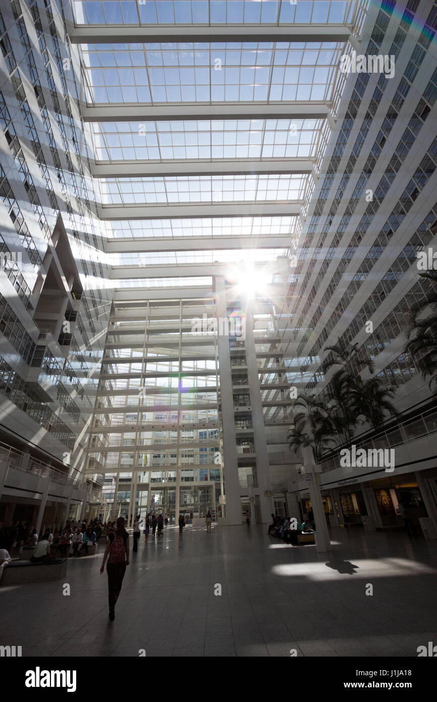 The Hague City Hall High Resolution Stock Photography and Images - Alamy