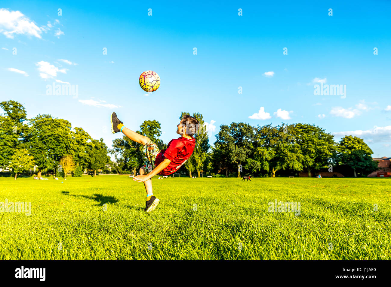 Day view of boy playing football summer park Stock Photo - Alamy