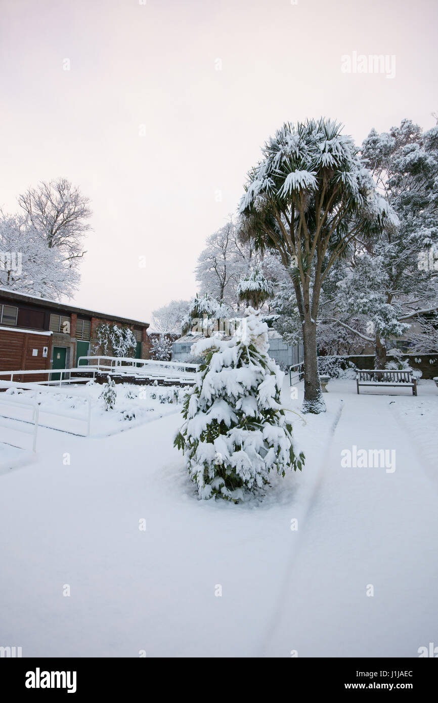 Singleton botanic gardens hi-res stock photography and images - Alamy