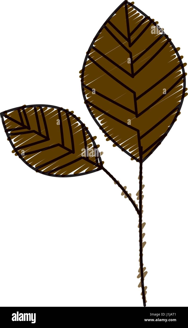 leafs plant decorative icon Stock Vector Image & Art - Alamy