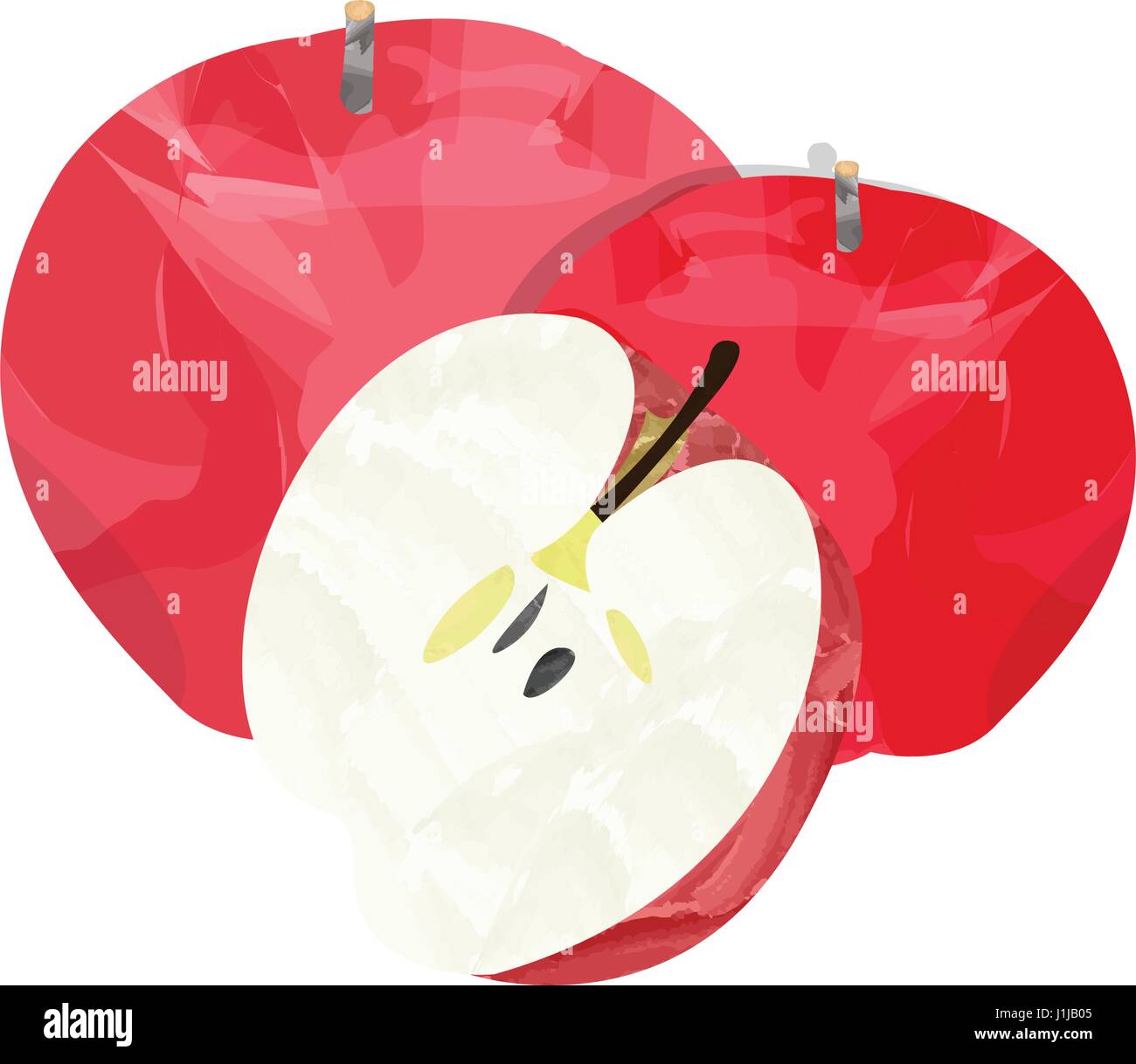 Isolated group of apples Stock Vector Image & Art - Alamy