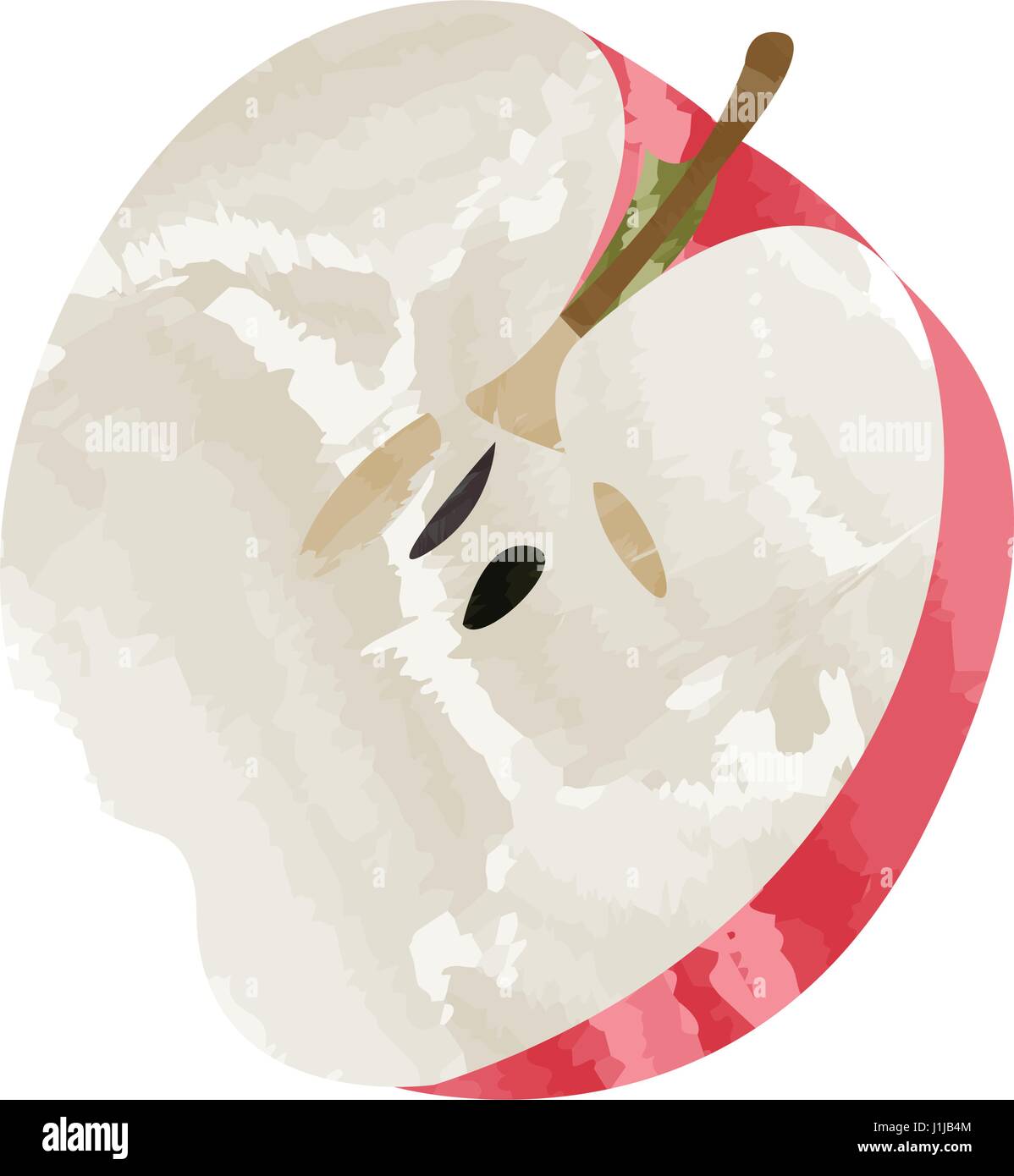 Isolated apple cut Stock Vector Image & Art - Alamy