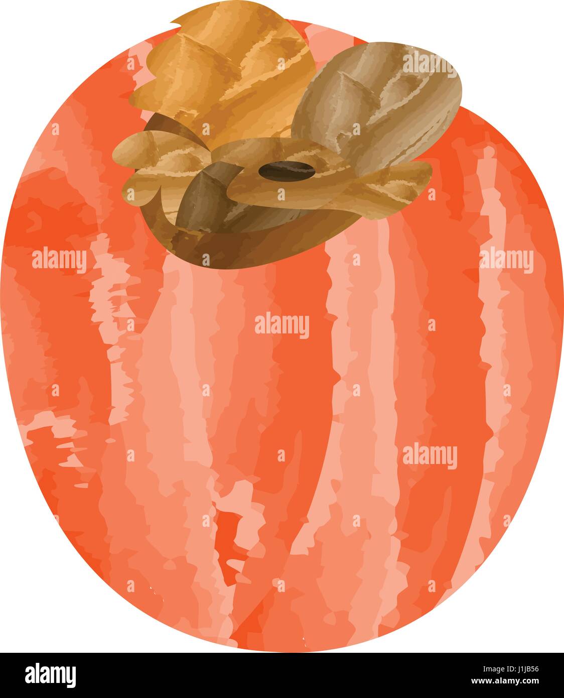 Lulo fruit Stock Vector Images - Alamy