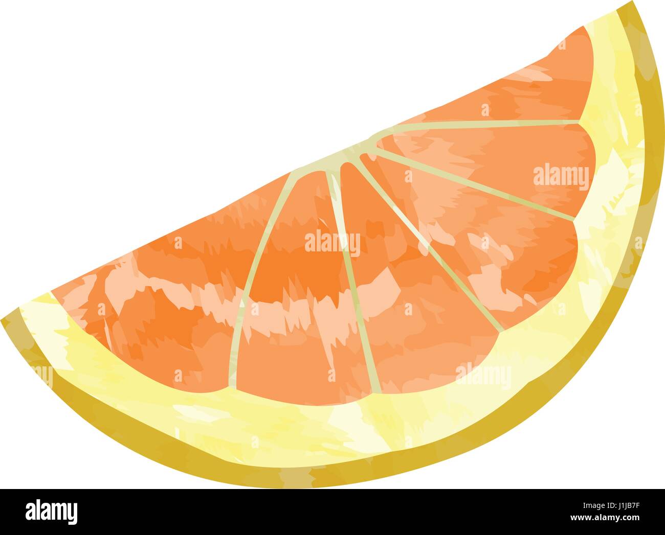 Isolated orange cut Stock Vector Image & Art - Alamy