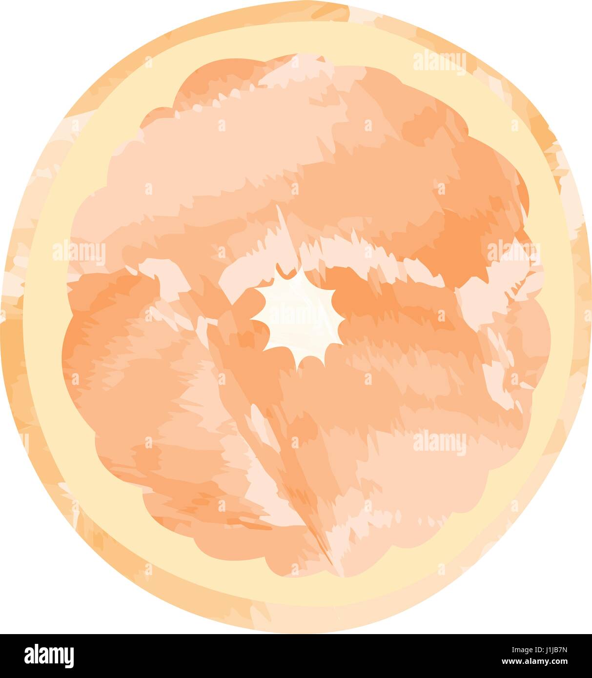 Orange seed Stock Vector Images - Alamy