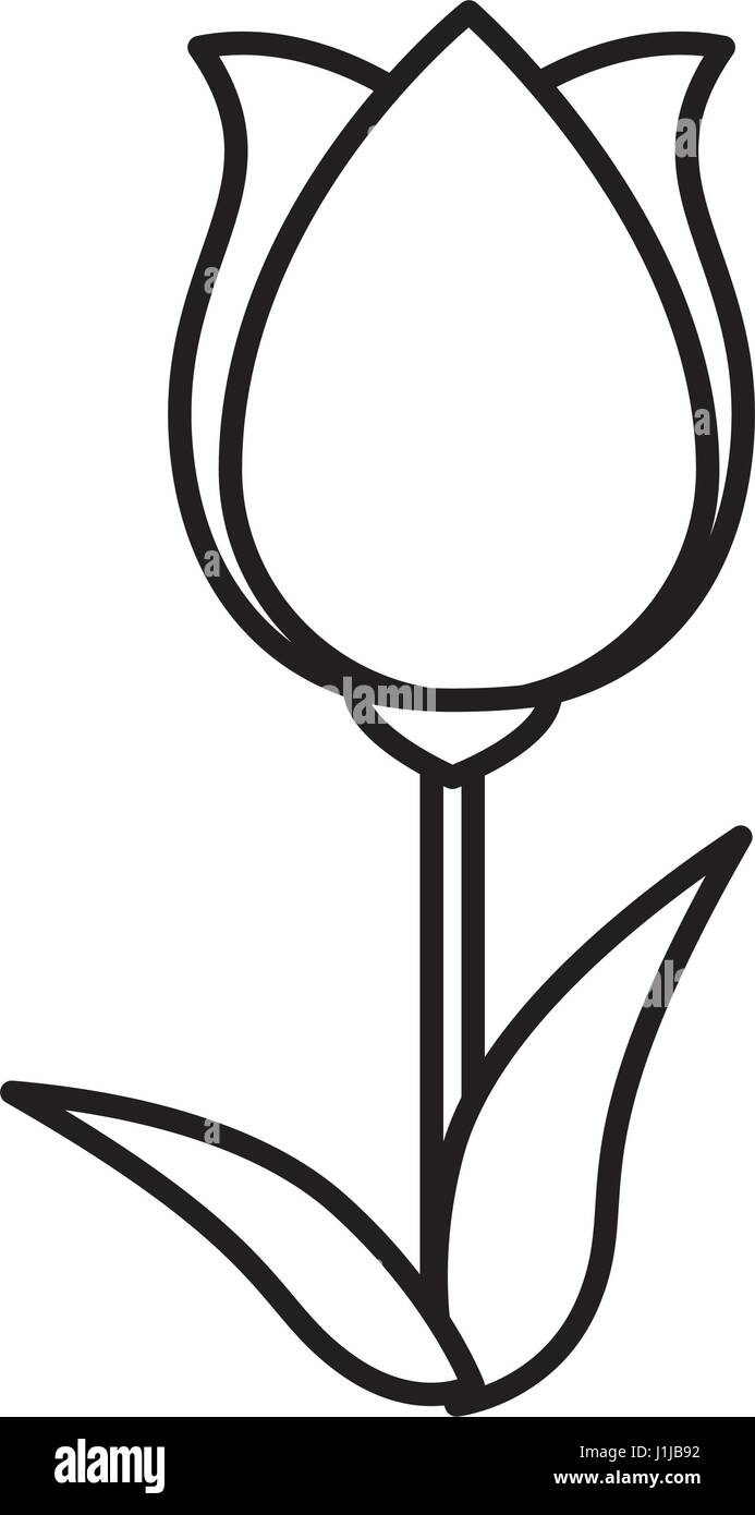 cute roses isolated icon Stock Vector Image & Art - Alamy