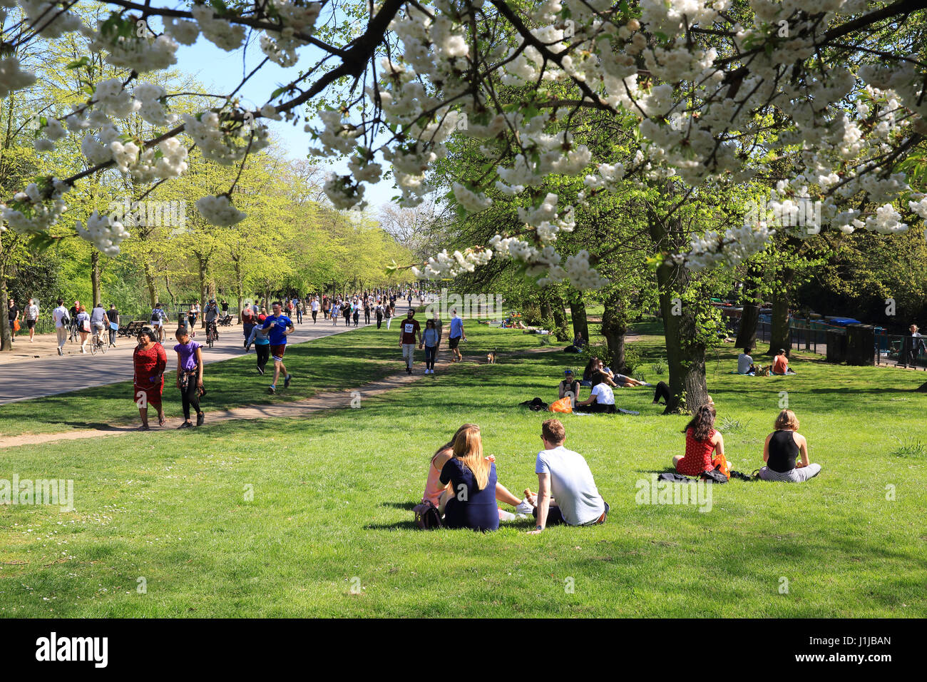 Relaxing in Victoria Park, in springtime, west of Grove Road, east ...