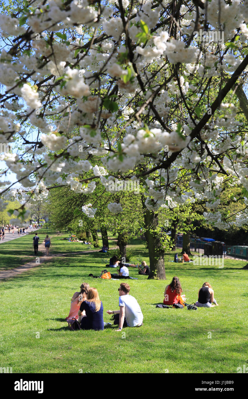 Relaxing in Victoria Park, in springtime, west of Grove Road, east ...