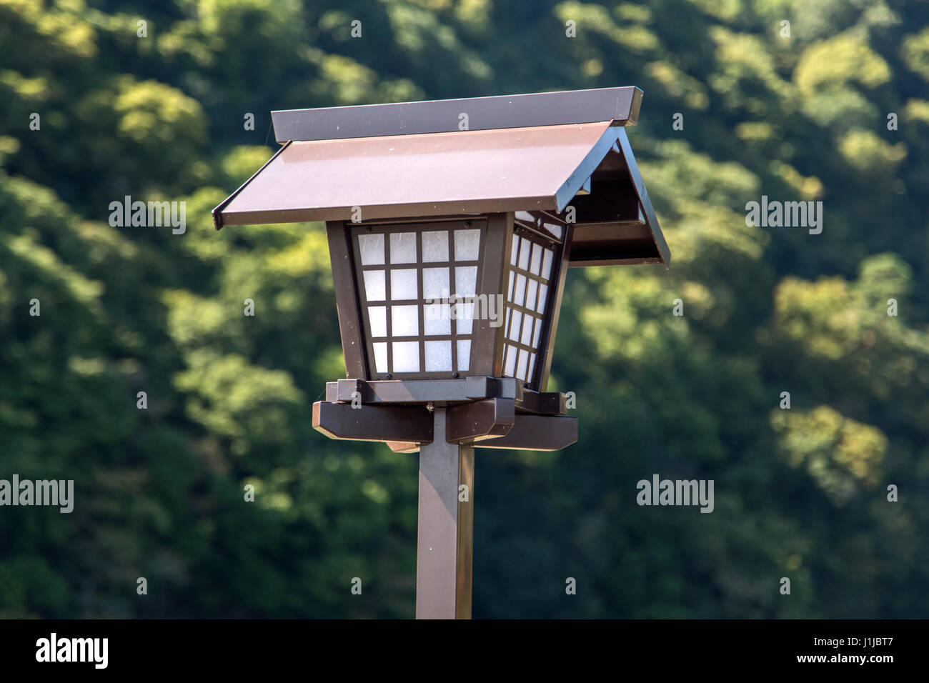 View at Japanese lamp at bamboo forest Stock Photo - Alamy