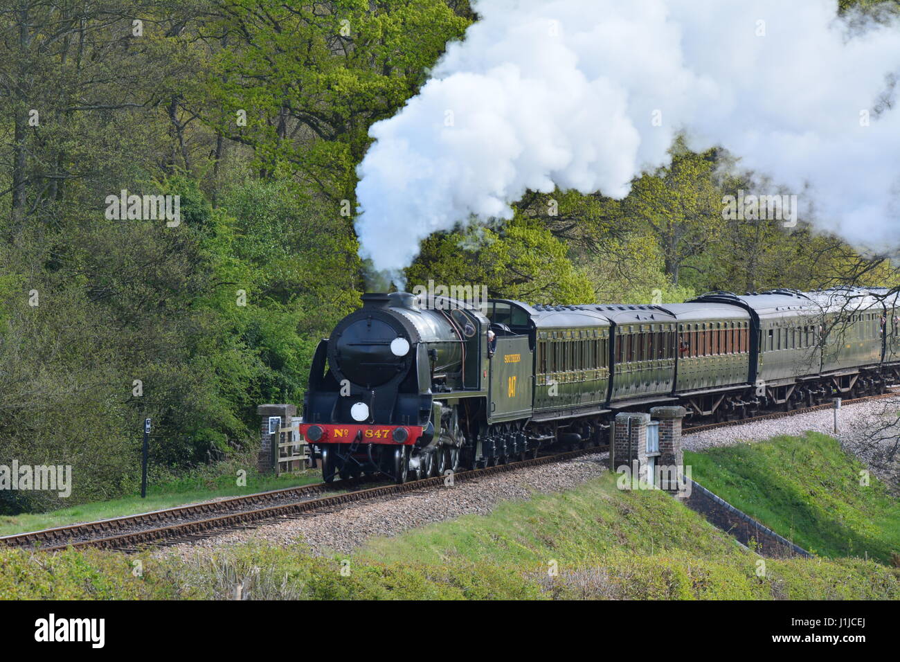 Bluebell railway hi-res stock photography and images - Alamy