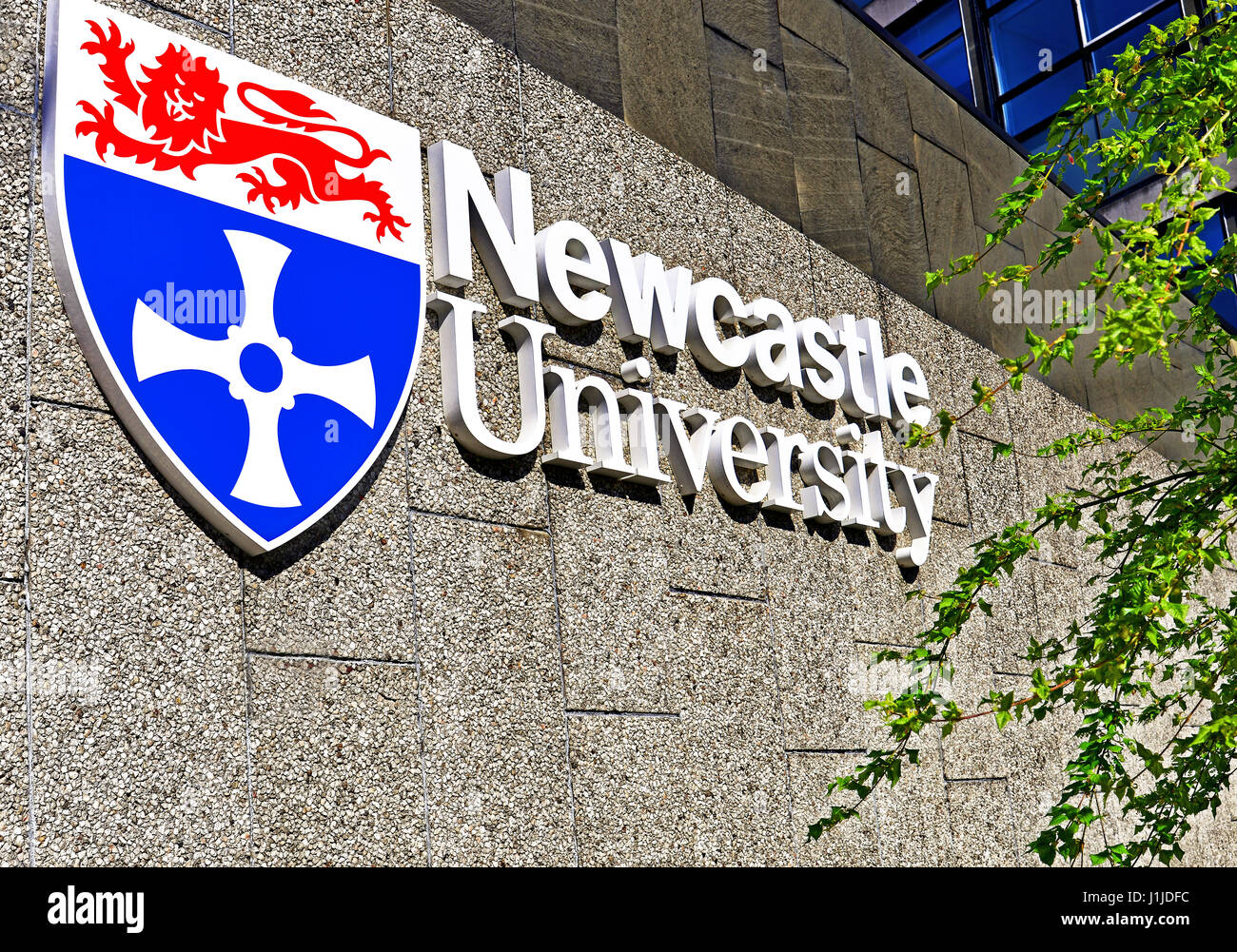 Newcastle University signpost and green leafy tree Stock Photo - Alamy
