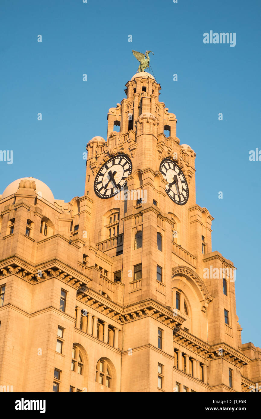 Royal,Liver,Building,sunset,Liverpool,Merseyside,England,UNESCO,World ...