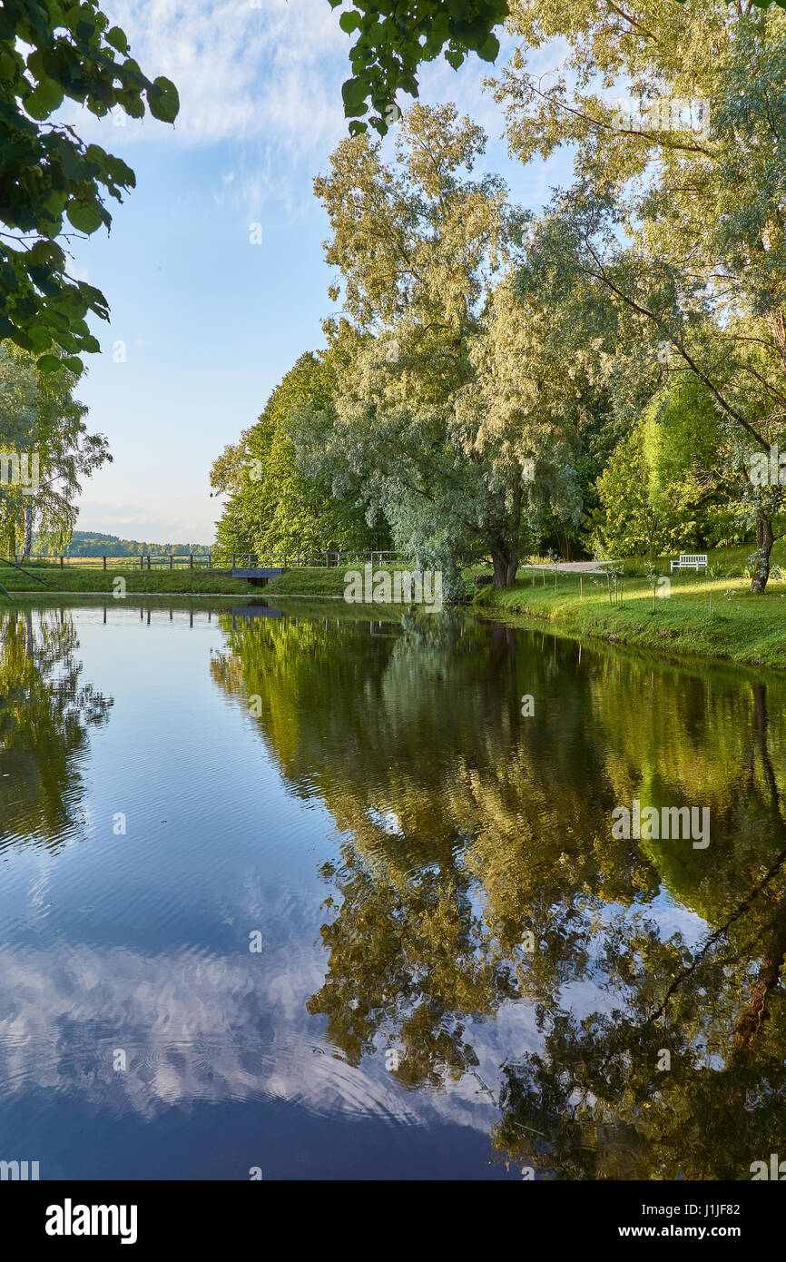 Trees around pond hi-res stock photography and images - Alamy