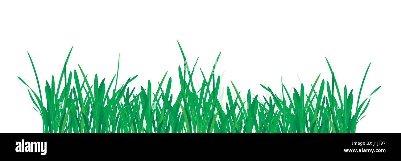 Lawn garden border Stock Vector Images - Alamy