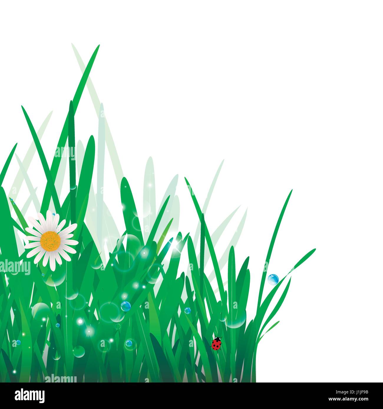 Lawn garden border Stock Vector Images - Alamy