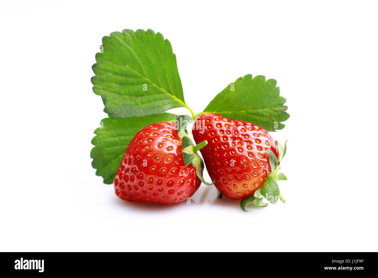 Two strawberries isolated on white background Stock Photo - Alamy
