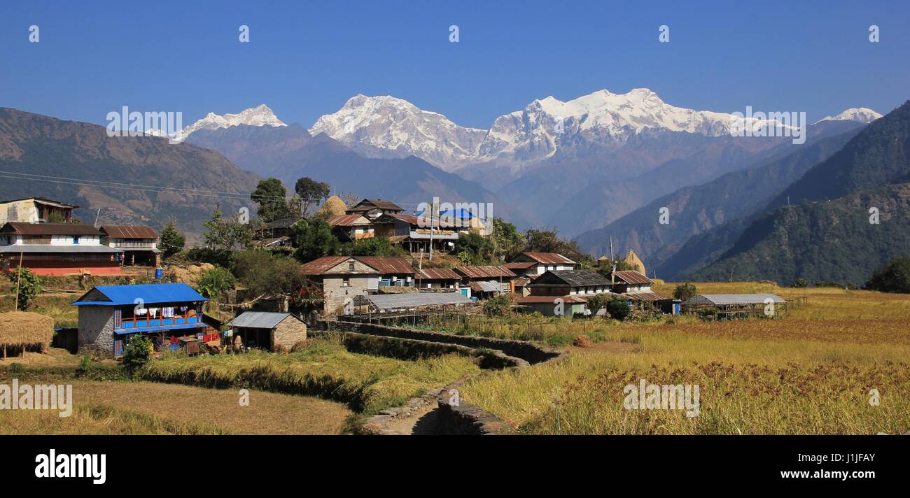 Nepalese village and snow capped Manaslu range Stock Photo - Alamy